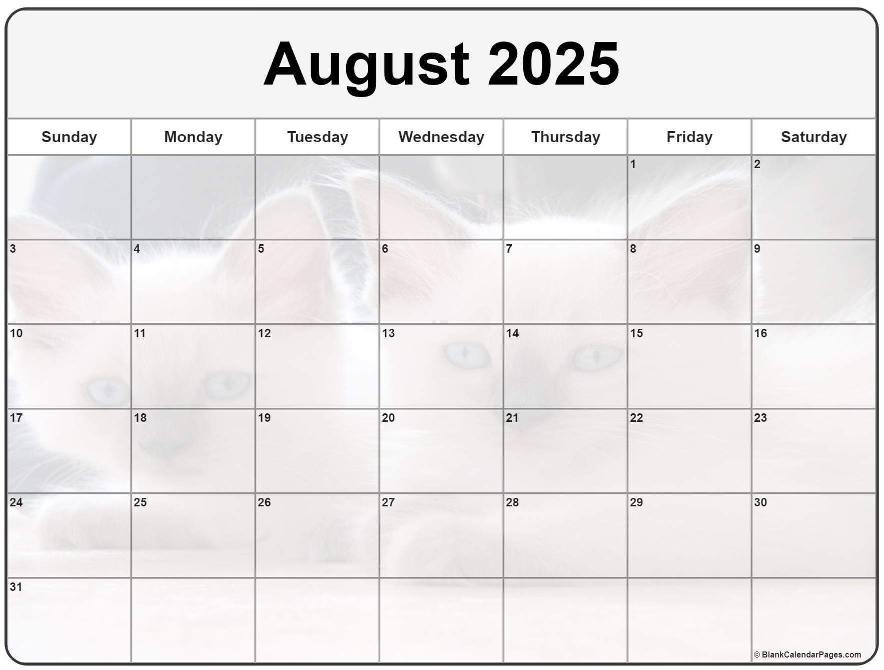 Collection Of August 2023 Photo Calendars With Image Filters 