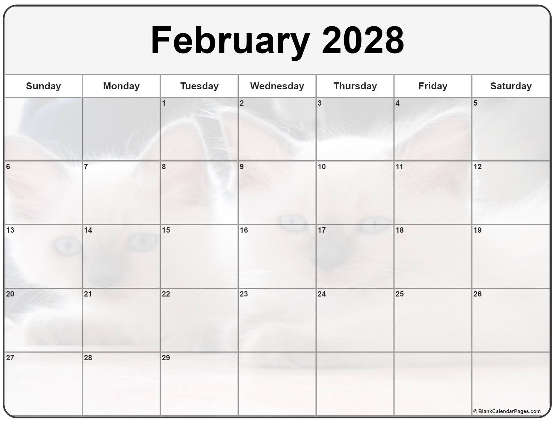 Collection of February 2028 photo calendars with image filters.