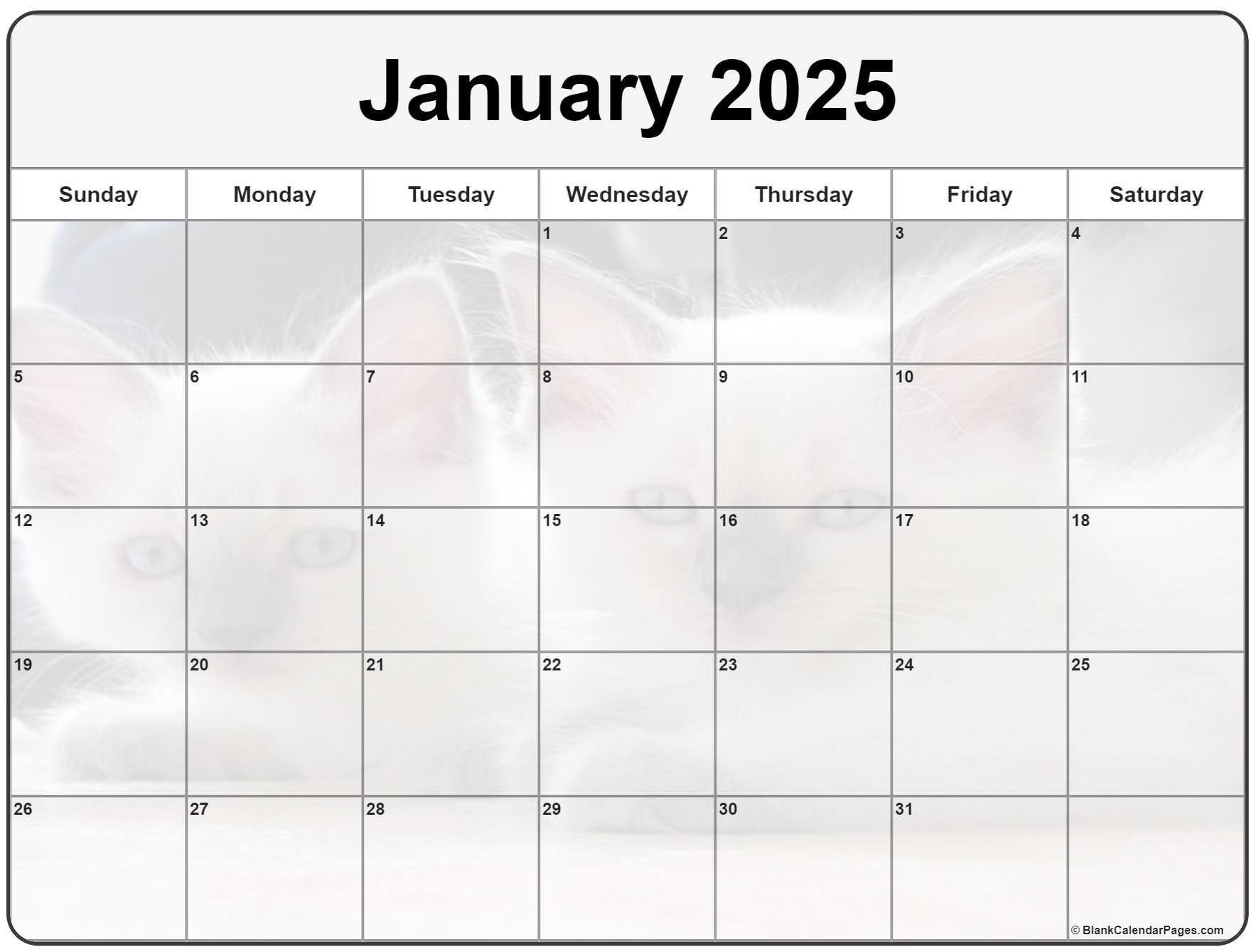 Cute Printable January 2023 Calendar Printable World Holiday