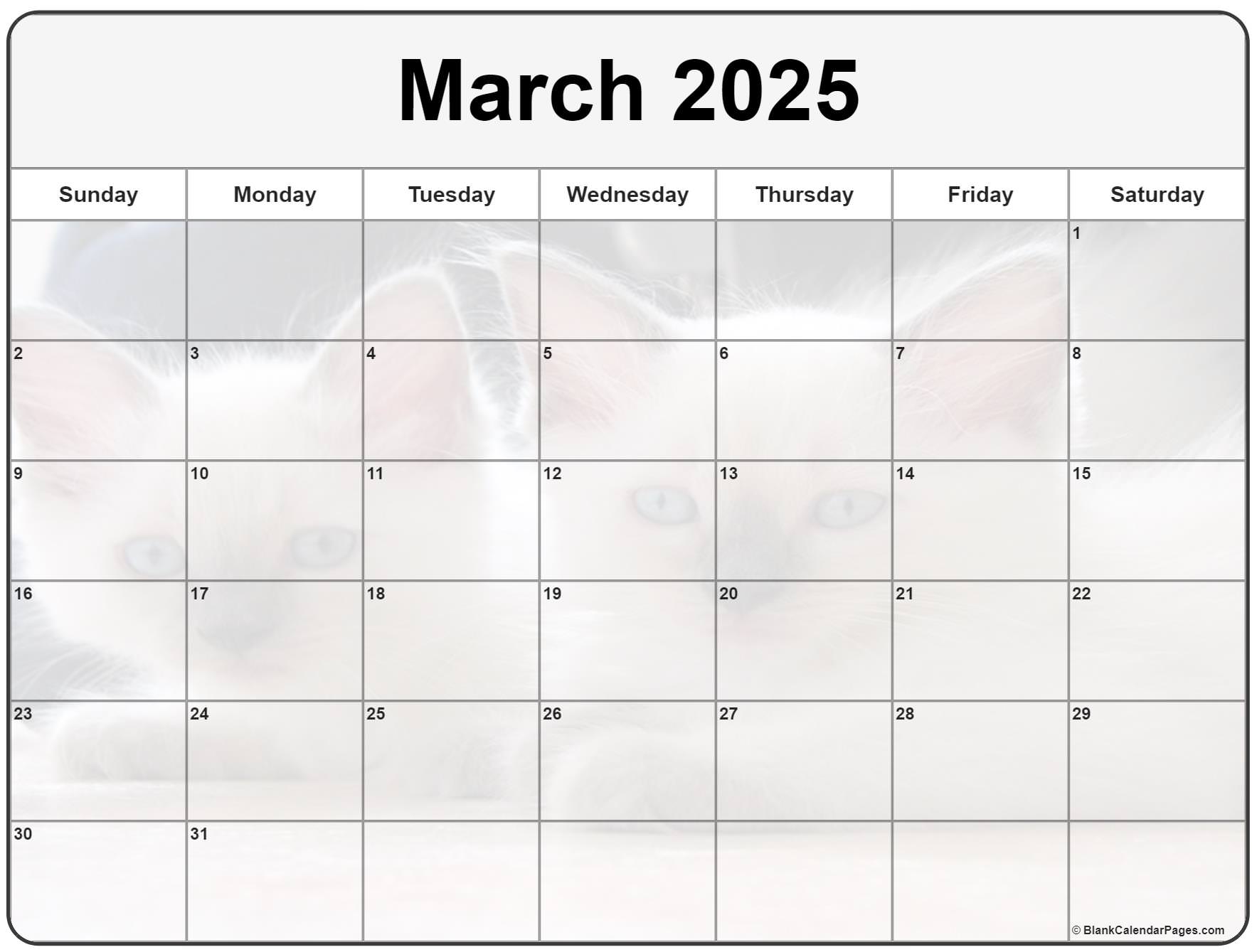 Blank March 2023 Calendar Printable Calendar 2023
