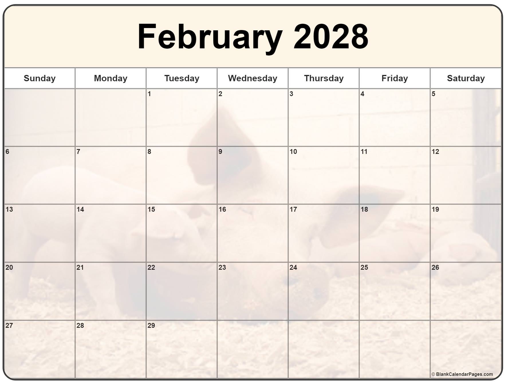 Collection of February 2028 photo calendars with image filters.