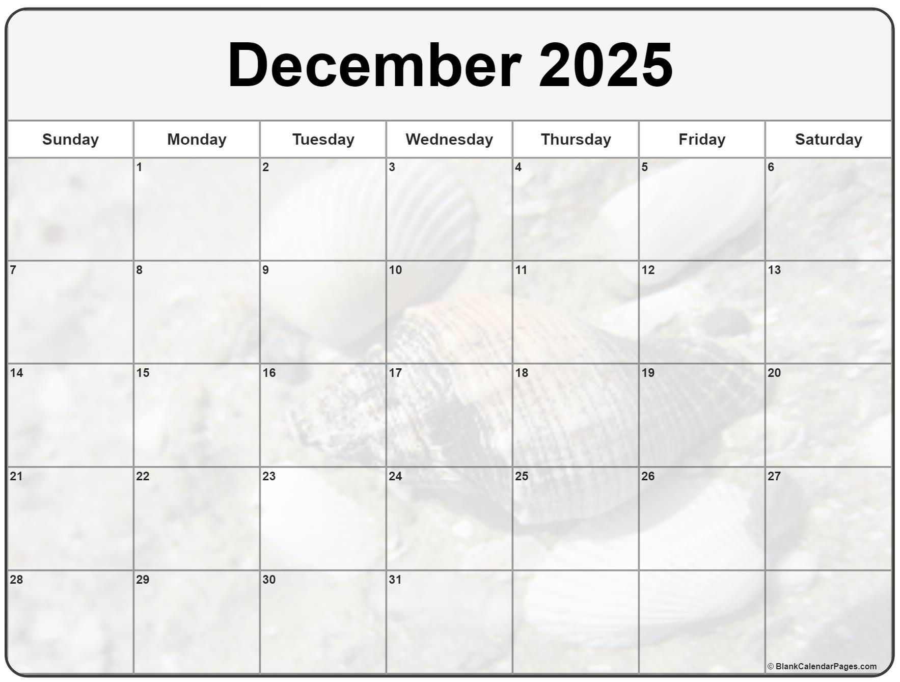 Collection Of December 2023 Photo Calendars With Image Filters 