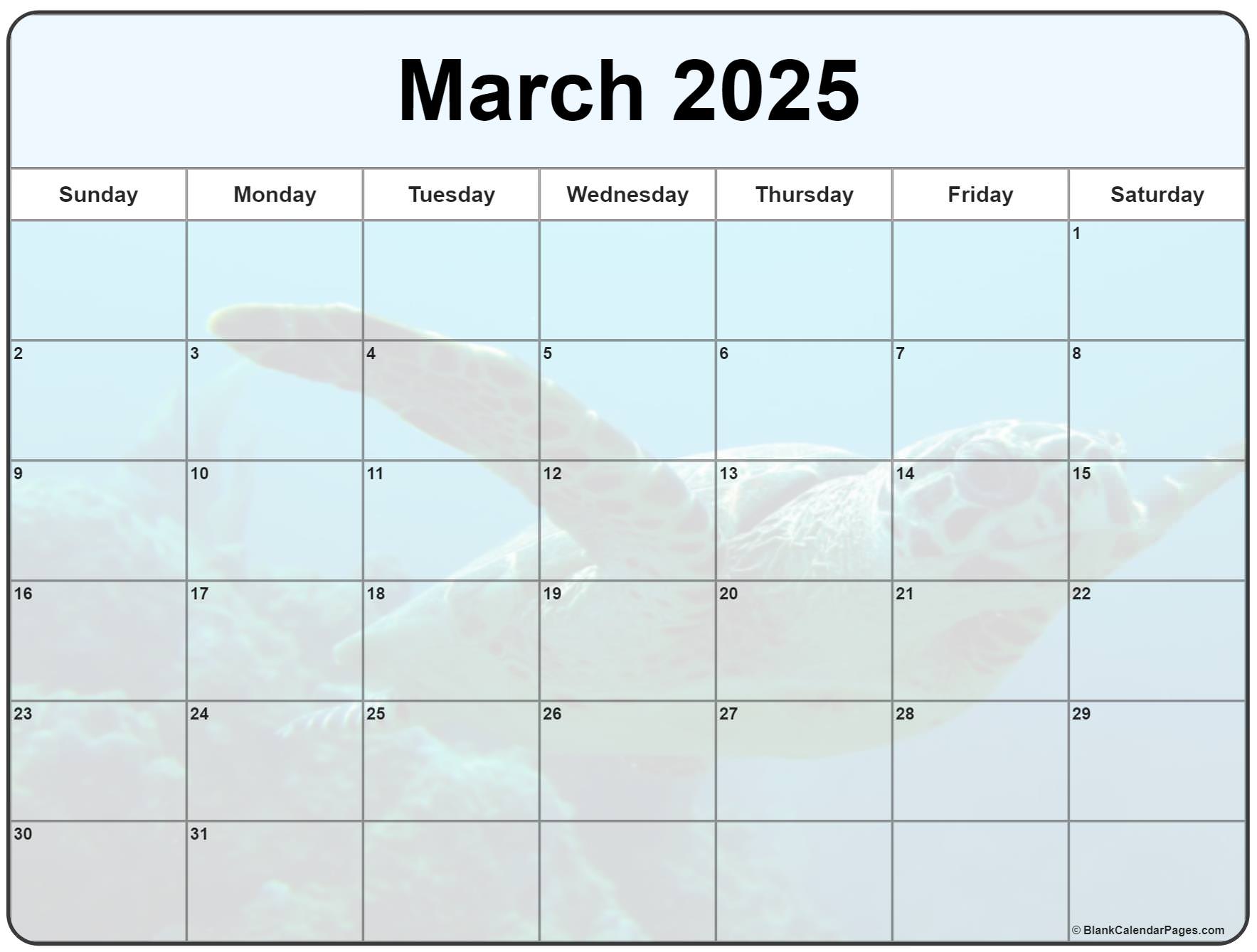 Printable March 2023 Calendar Free Printable Calendar 2023